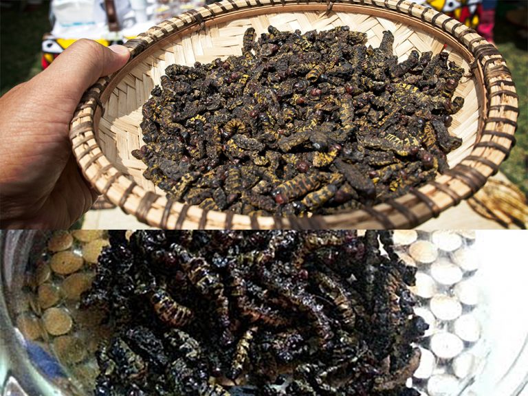 Conhecer a província do Namibe e os seus encantos - Welcome To Angola