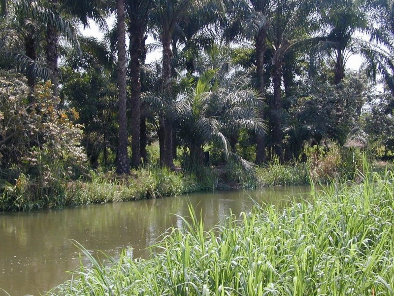 Conhecer a Província do Bengo: Angola - Welcome To Angola