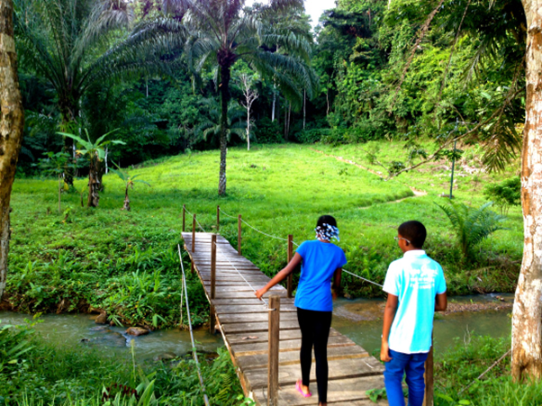 Floresta do Maiombe - A 2º maior do Mundo - Welcome To Angola