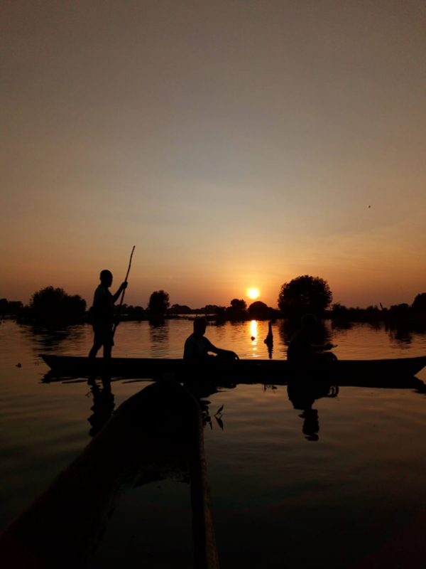 Floresta do Maiombe - A 2º maior do Mundo - Welcome To Angola